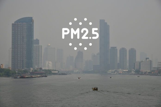 Fine Particulate Matter PM2.5: Causes, Effects, and Prevention